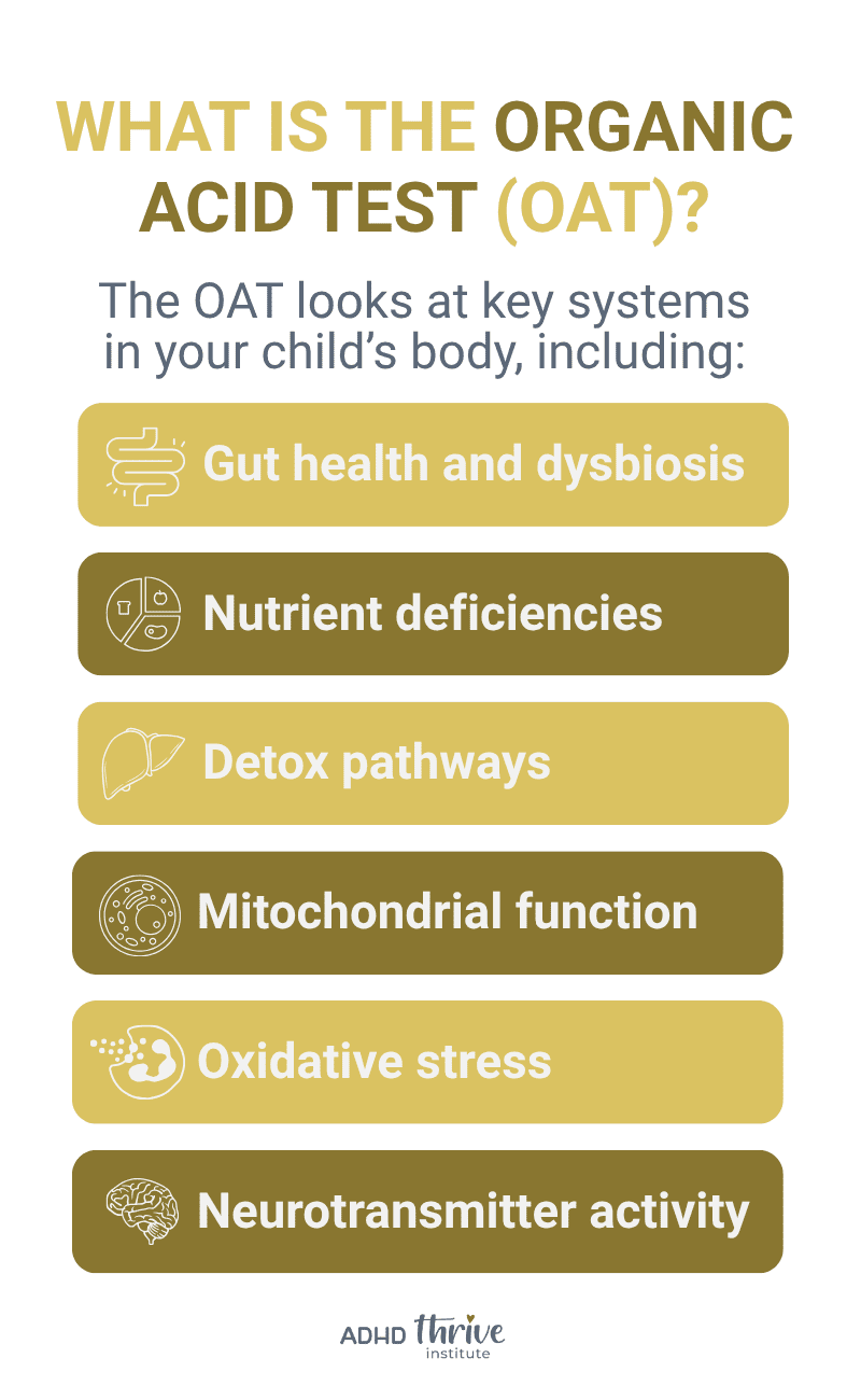 Functional Lab Testing for ADHD (Part 2): The Organic Acid Test ...